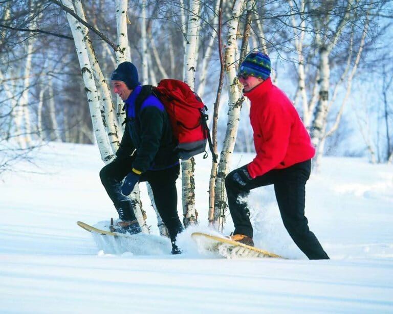 Action Tours | Big Bear Zipline & Adventure Tours