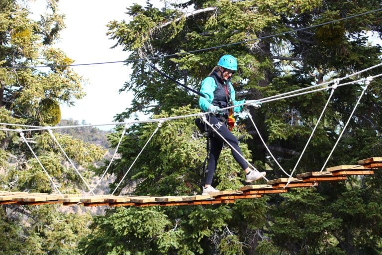 Action Tours | Big Bear Zipline & Adventure Tours